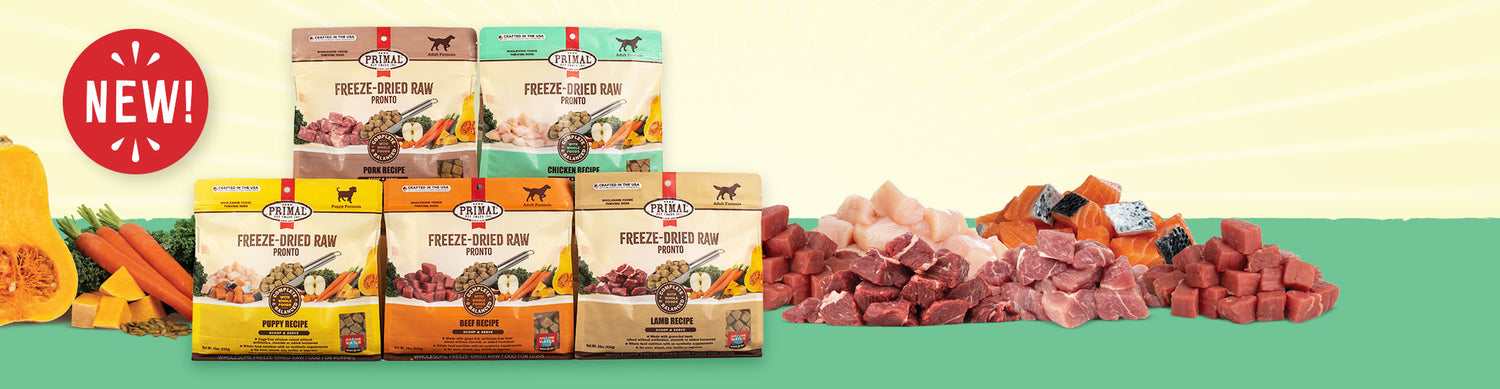 Introducing NEW Freeze-Dried Raw Pronto for Dogs | Primal Pet Foods
