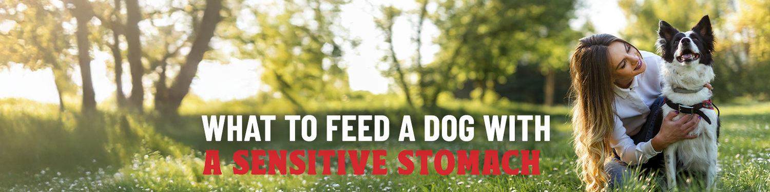 What to Feed a Dog With a Sensitive Stomach | Primal Pet Foods