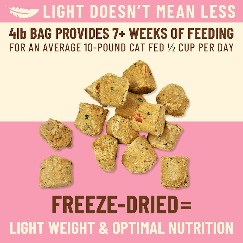 Kibble in the Raw Cat Food - Beef Recipe – Primal Pet Foods