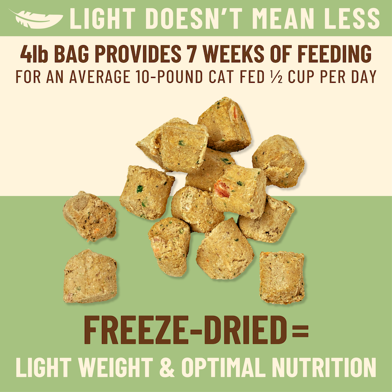 Kibble in the Raw Cat Food – Chicken Recipe – Primal Pet Foods