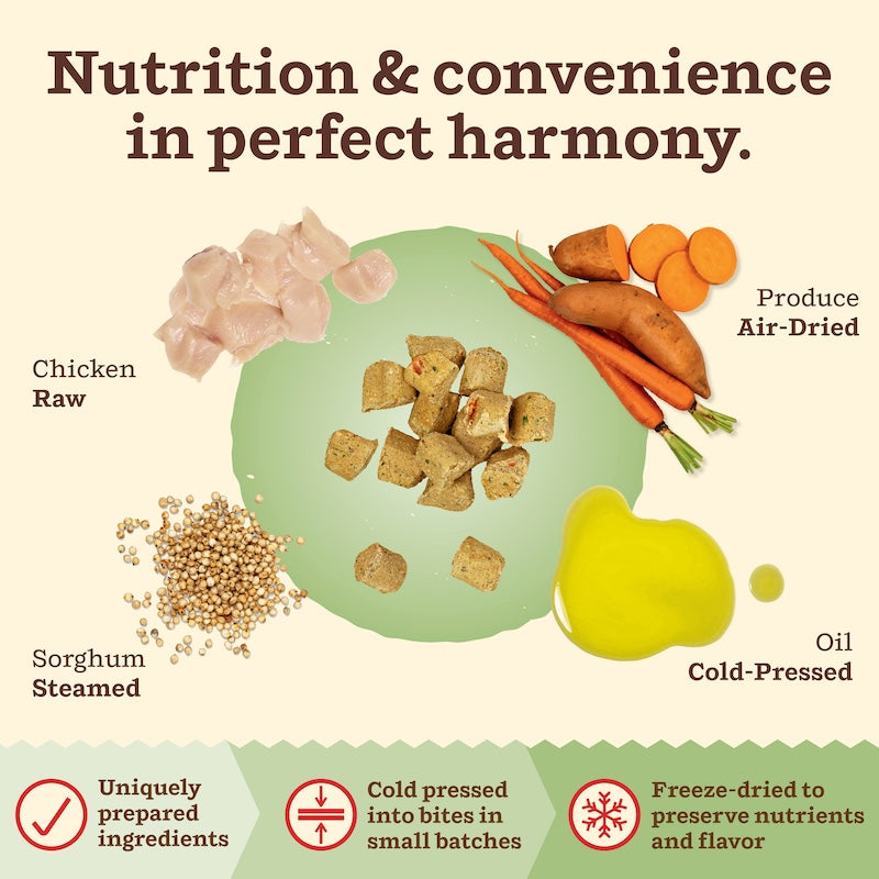 Kibble in the Raw Cat Food – Chicken Recipe – Primal Pet Foods