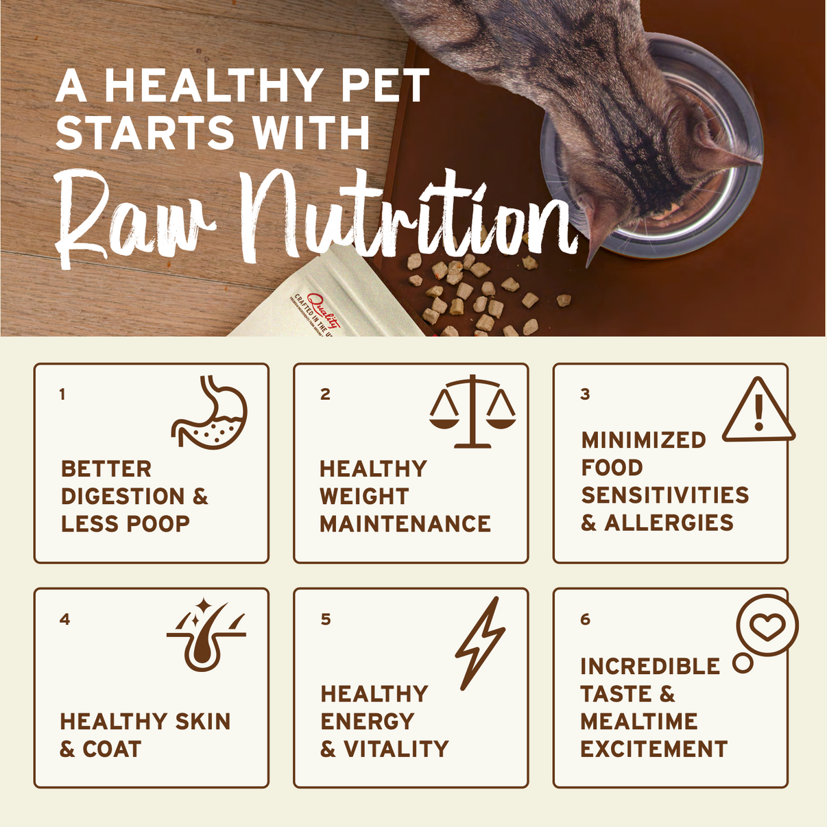 Frozen Raw Scoopable Pronto Cat Food – Chicken & Salmon Recipe – Primal ...