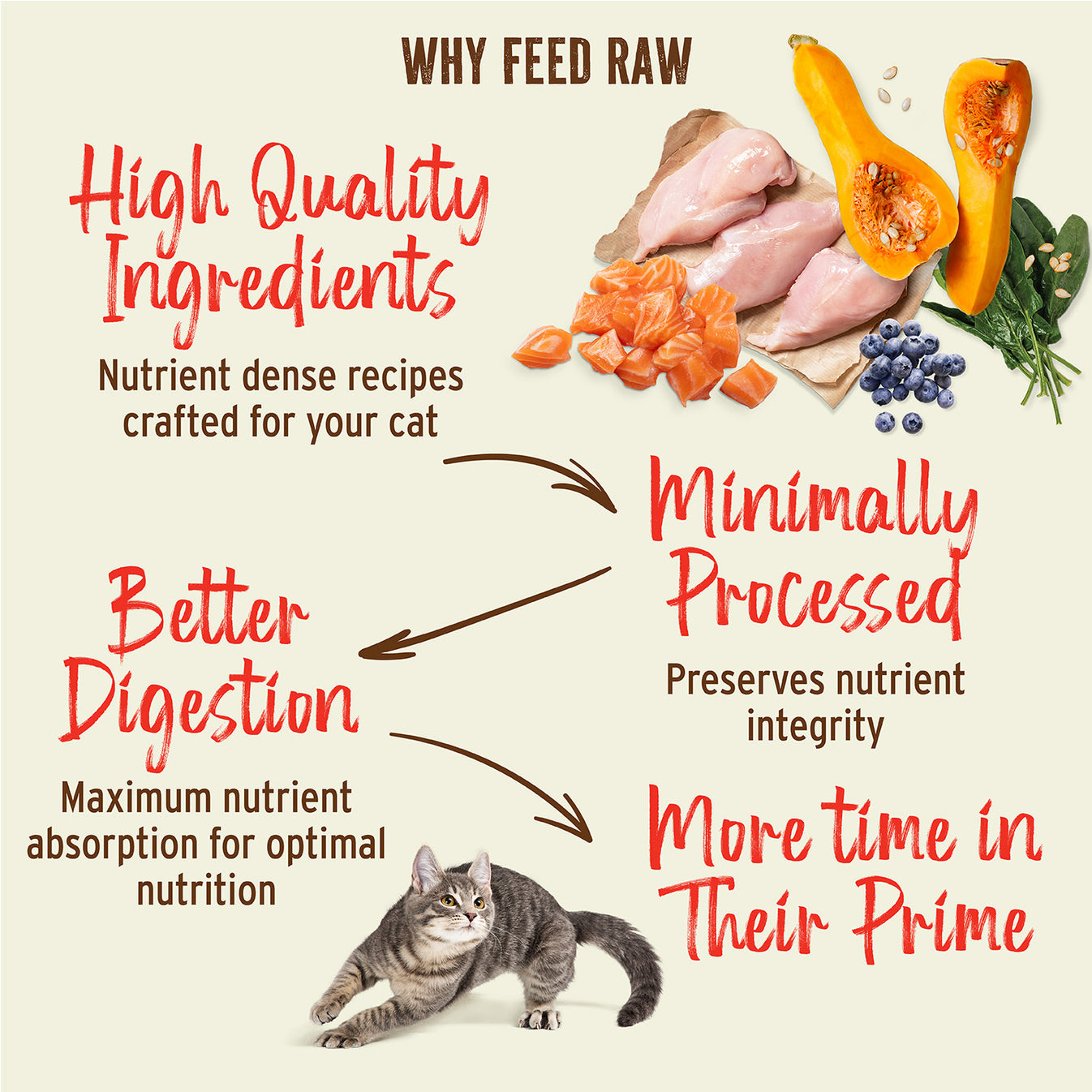 Frozen Raw Scoopable Pronto Cat Food – Chicken & Salmon Recipe – Primal ...