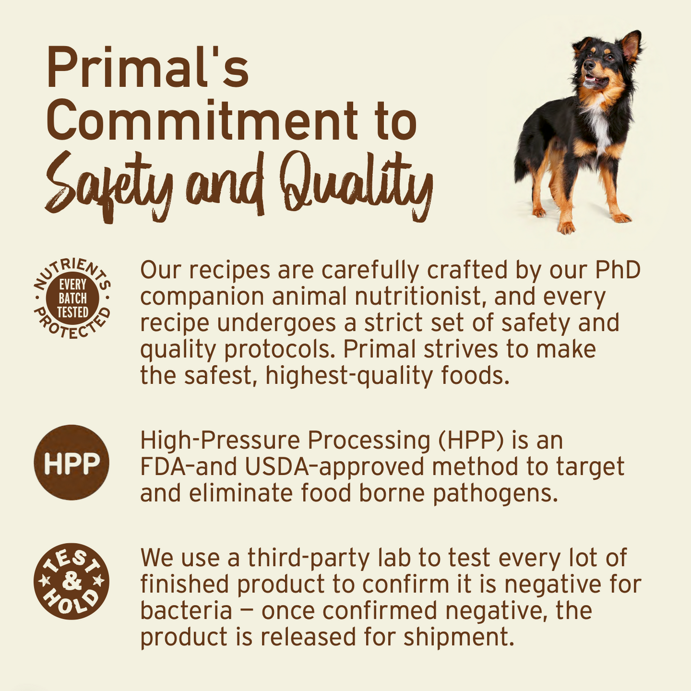 Frozen Raw Scoopable Pronto Dog Food – Beef Recipe – Primal Pet Foods