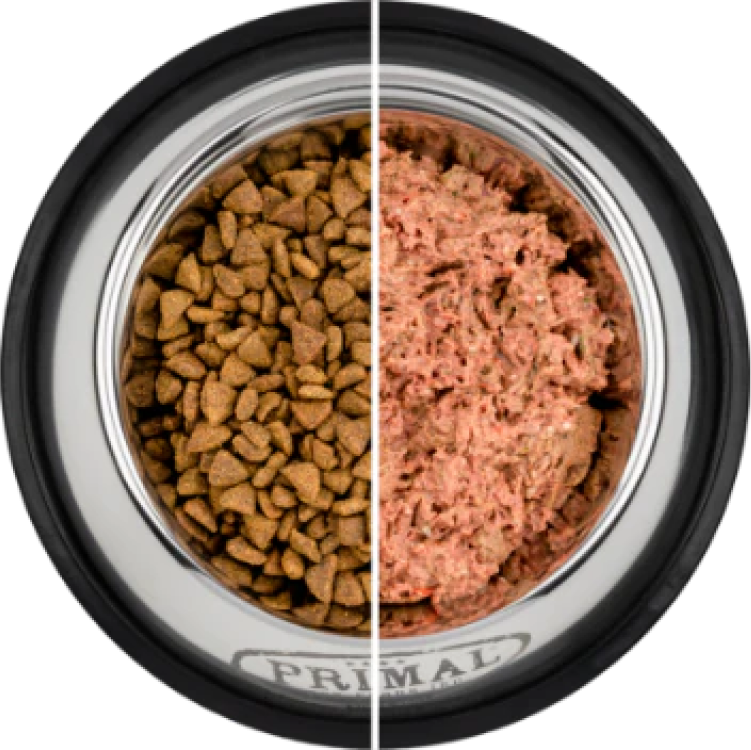Transitioning to Raw for Dogs | Primal Pet Foods
