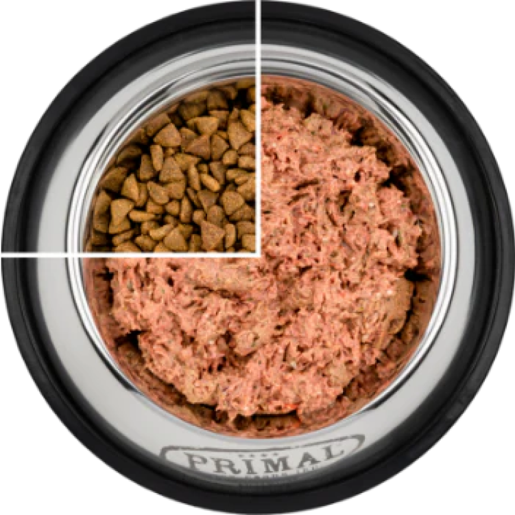 Transitioning to Raw for Dogs | Primal Pet Foods