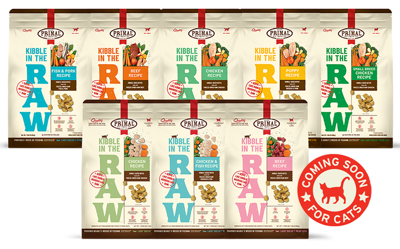 Kibble in the Raw Food for Dogs – Primal Pet Foods