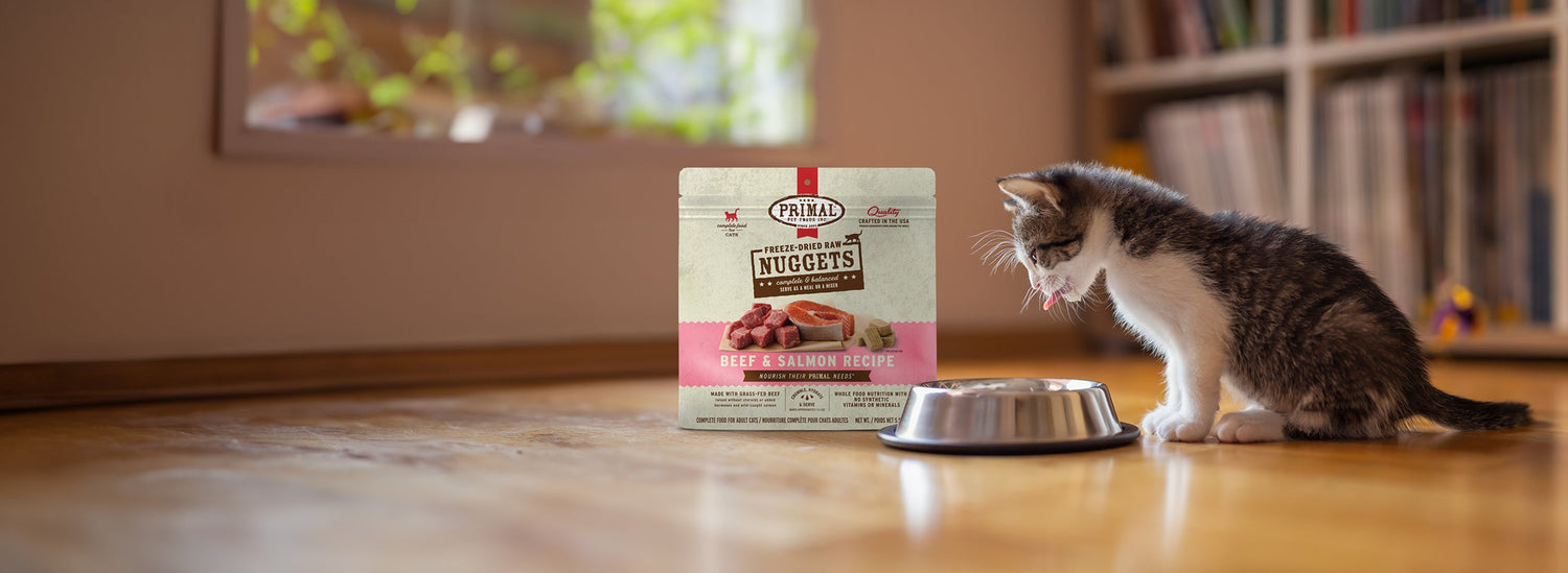 Raw Diet for Kittens │ Primal Pet Foods